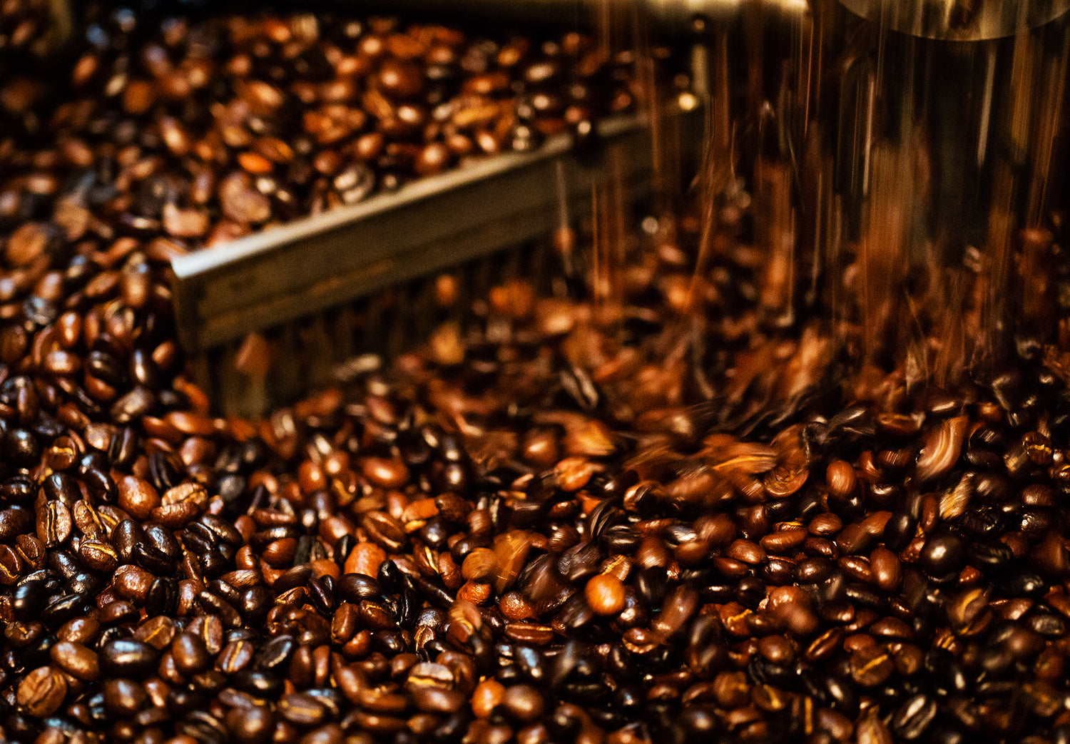 Intro – Safari Coffee Roasters