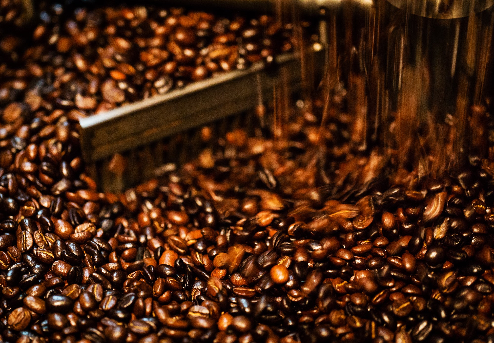 Intro – Safari Coffee Roasters