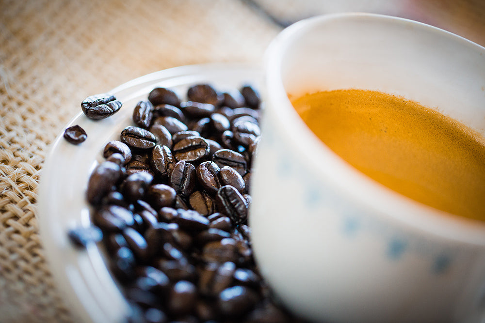 Intro – Safari Coffee Roasters